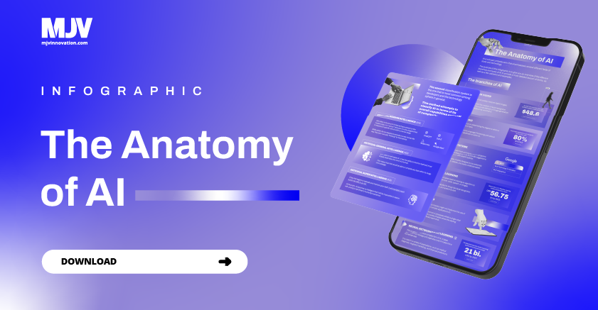 Infographic - The Anatomy of AI